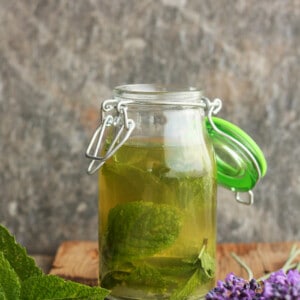 Homemade Mint Extract Recipe (2 ingredients) - Sustainable Cooks