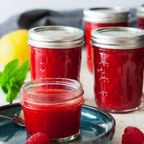Raspberry Freezer Jam {Low-Sugar} - Sustainable Cooks