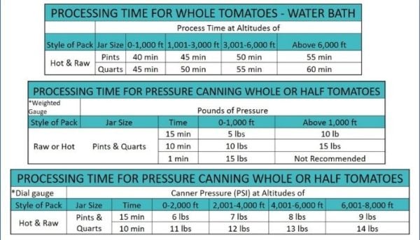 Printable tomato timer chart - bkgast