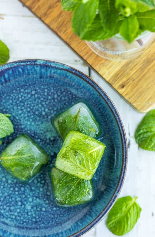 Freezing Mint {How to Freeze Mint 4 Ways} - Sustainable Cooks