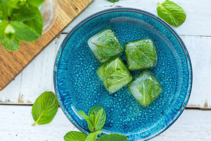 Freezing Mint {How to Freeze Mint 4 Ways} - Sustainable Cooks