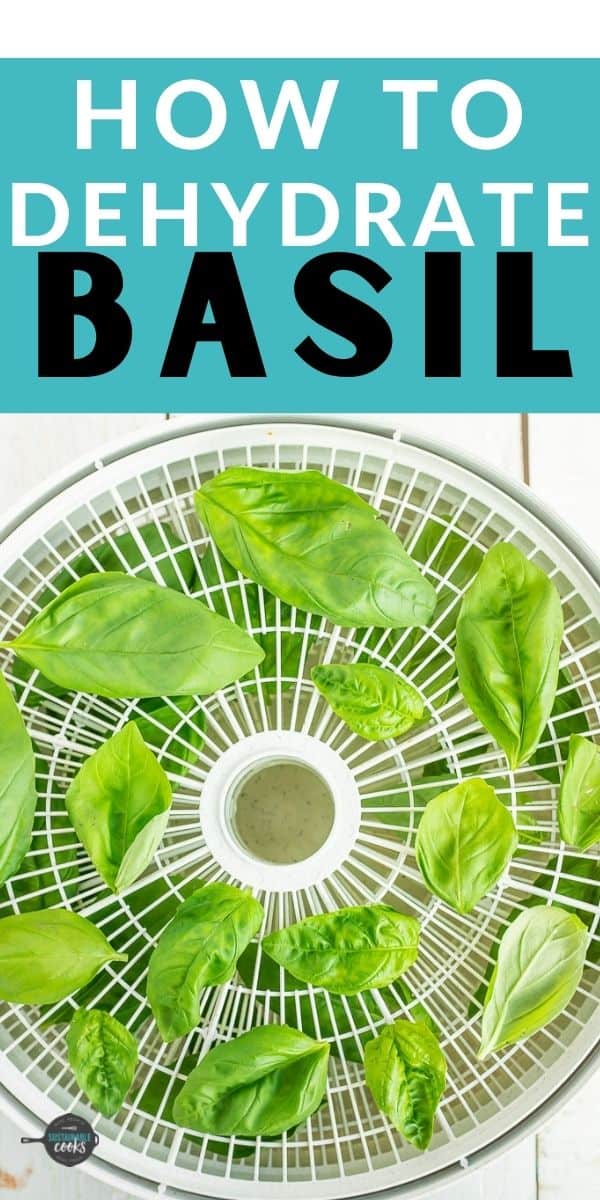 How to Dry Basil - Sustainable Cooks