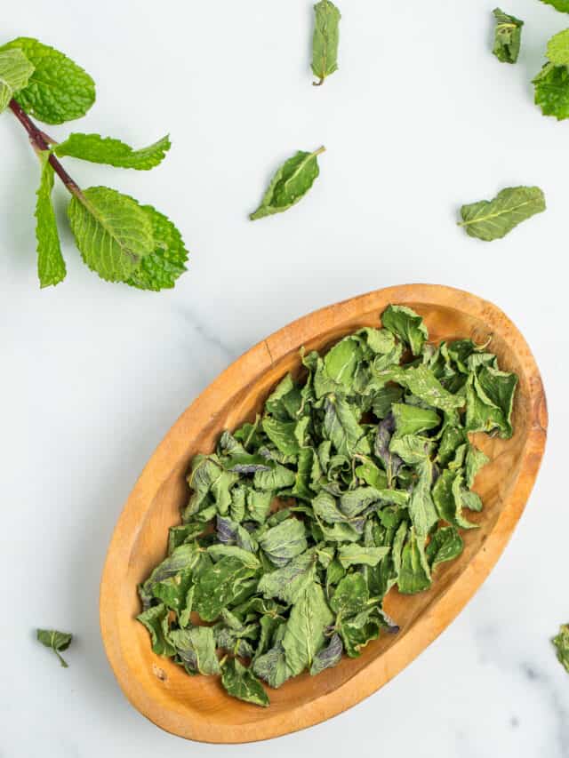 Freezing Mint {How to Freeze Mint 4 Ways} - Sustainable Cooks