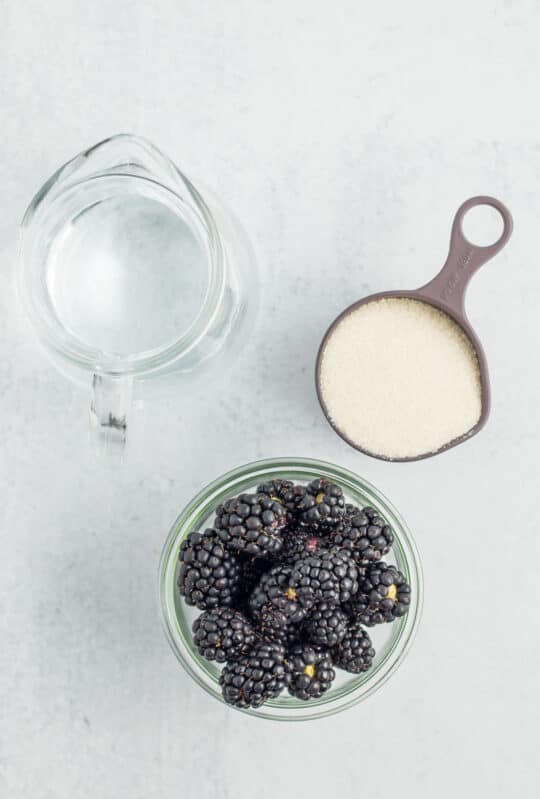 Blackberry Simple Syrup - Sustainable Cooks