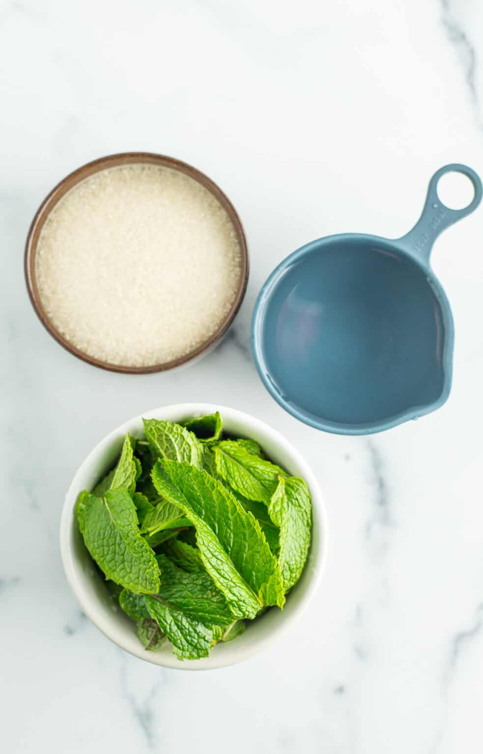 Mint Syrup - Sustainable Cooks