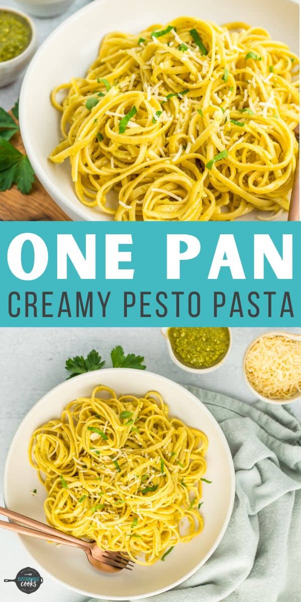 Creamy Pesto Pasta - Sustainable Cooks