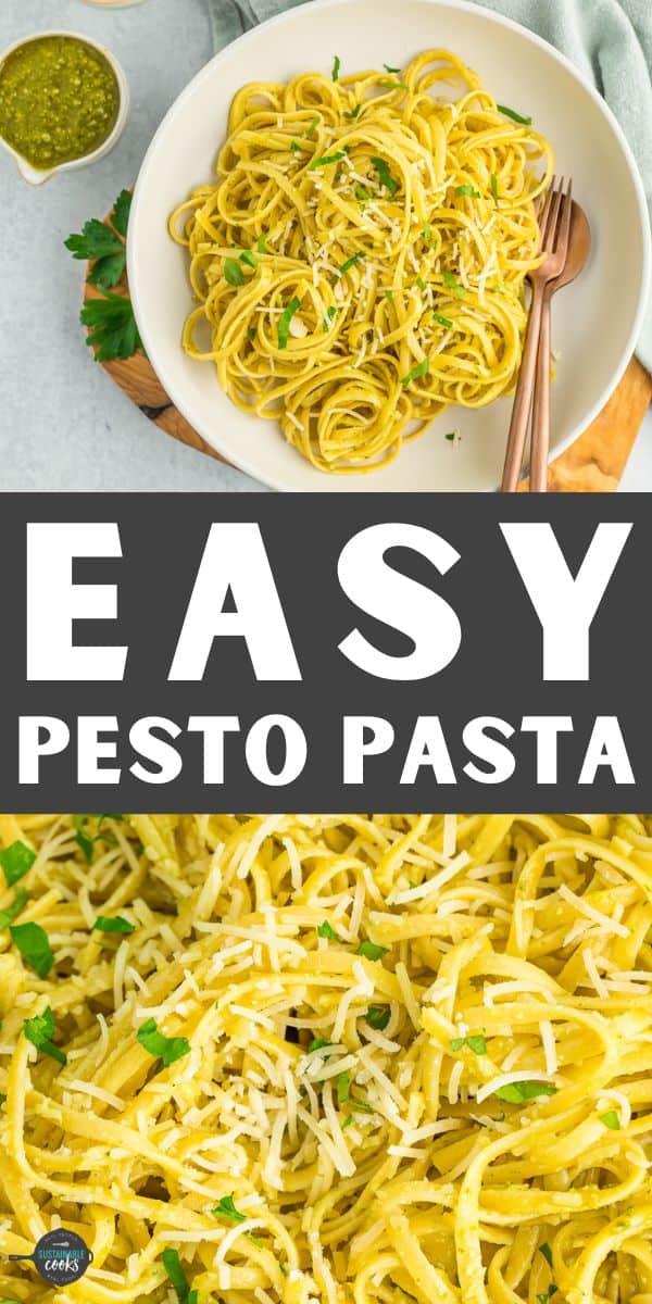 Creamy Pesto Pasta - Sustainable Cooks